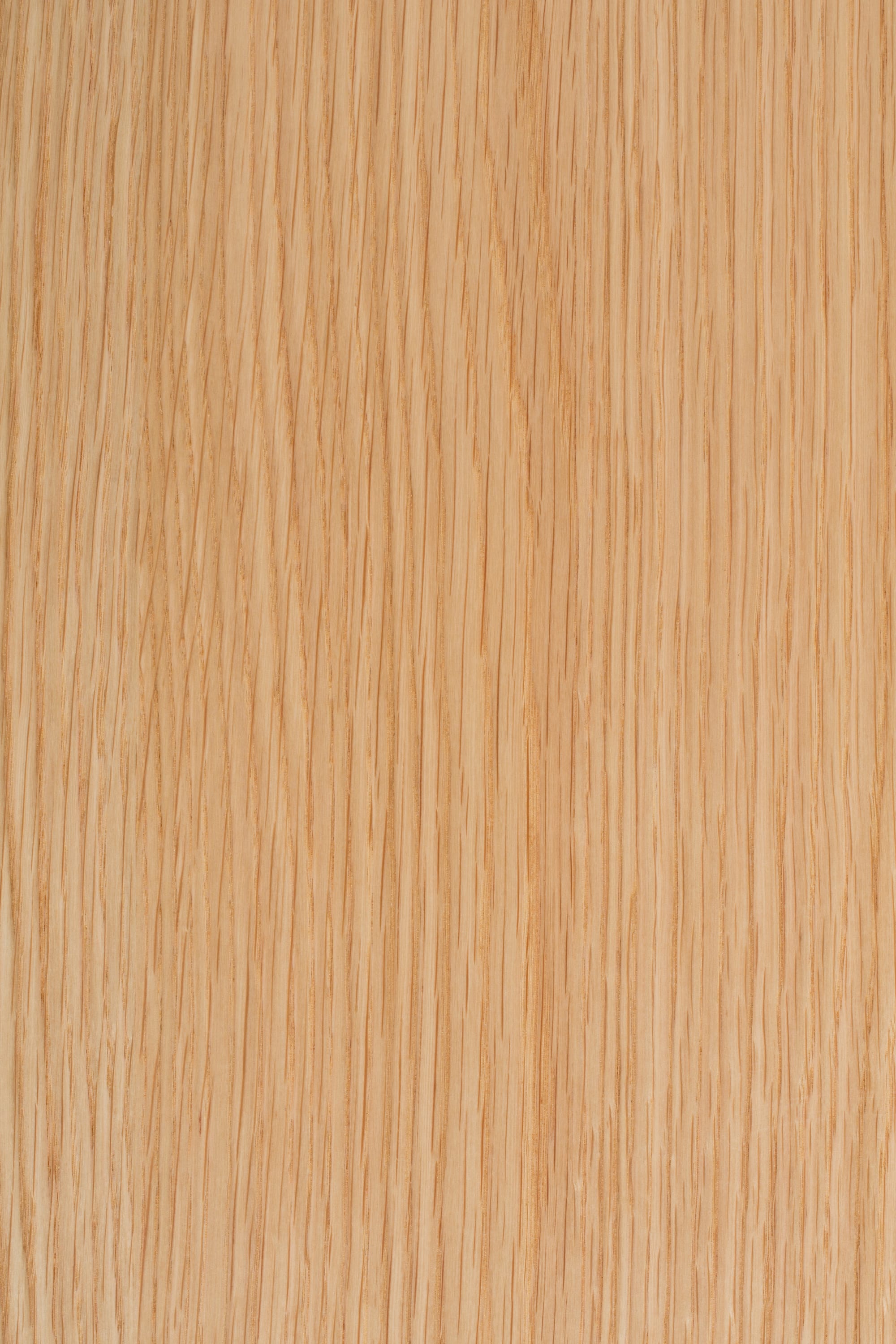White Oak - Poly – Ravenhill Studio