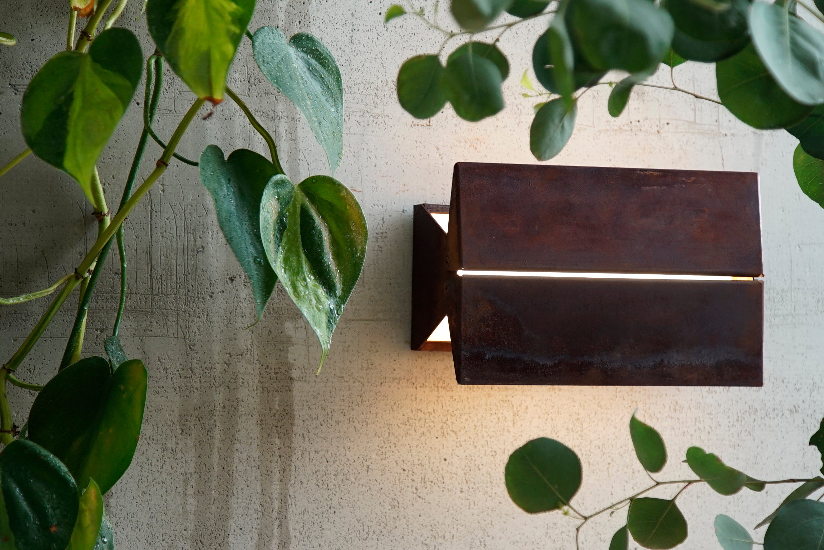 Ada Lifestyle – Ravenhill Studio