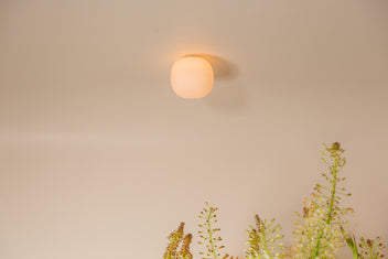 Ceiling – Ravenhill Studio